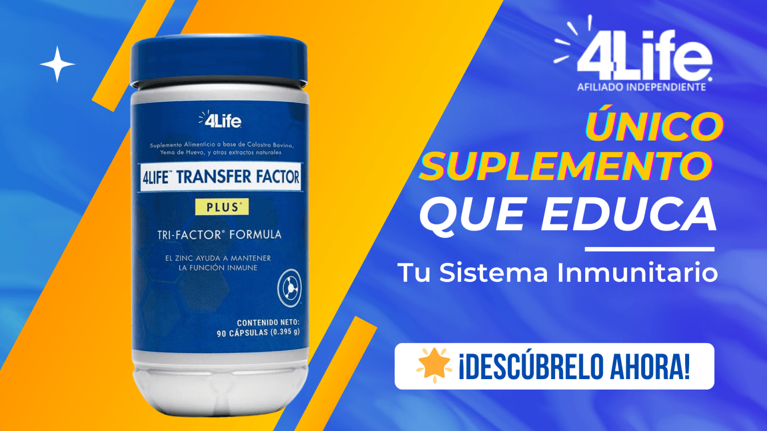 ¿Qué son los Factores de Transferencia? ? Beneficios